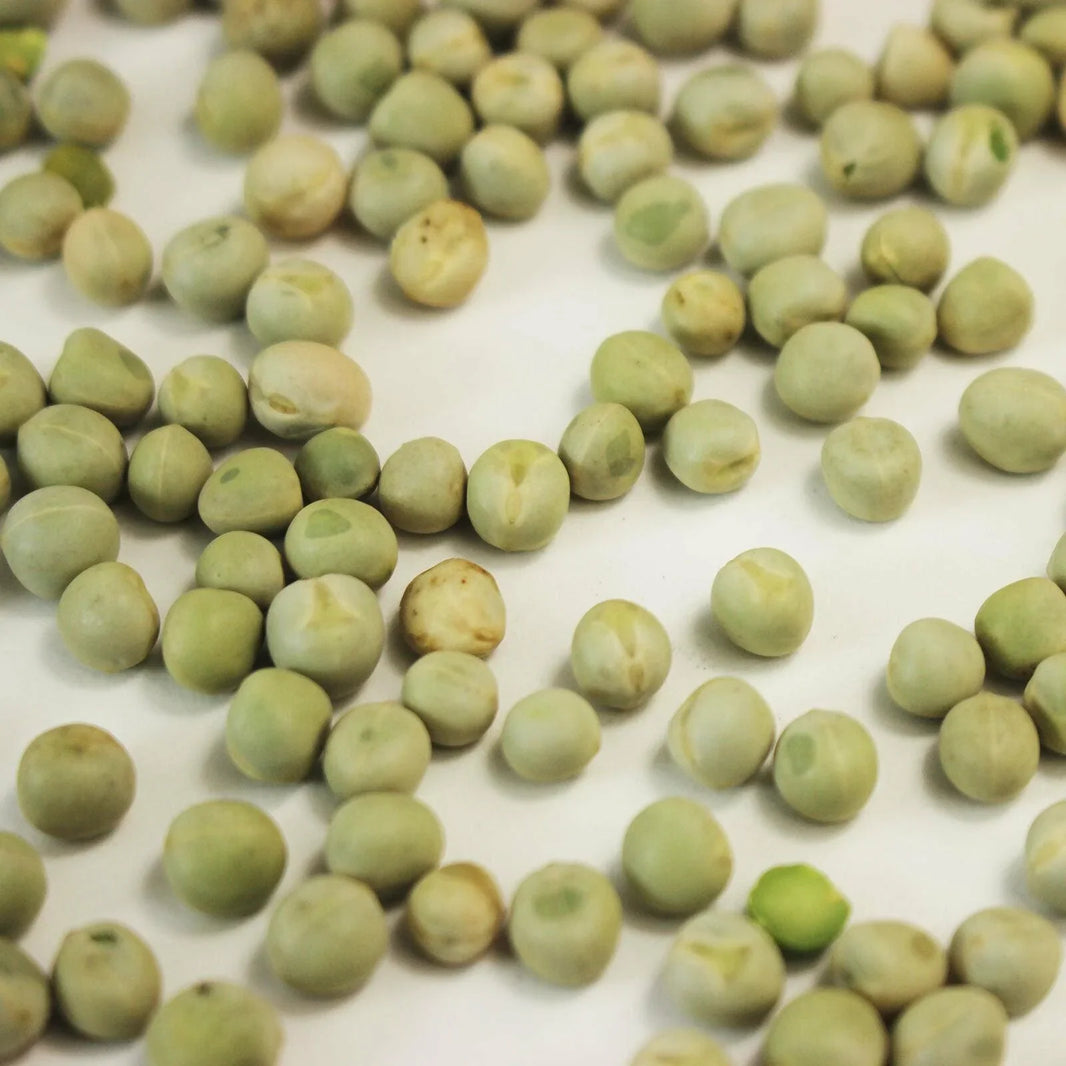 Buy Microgreens Seeds | Fresh, Nutritious Greens at Seed World